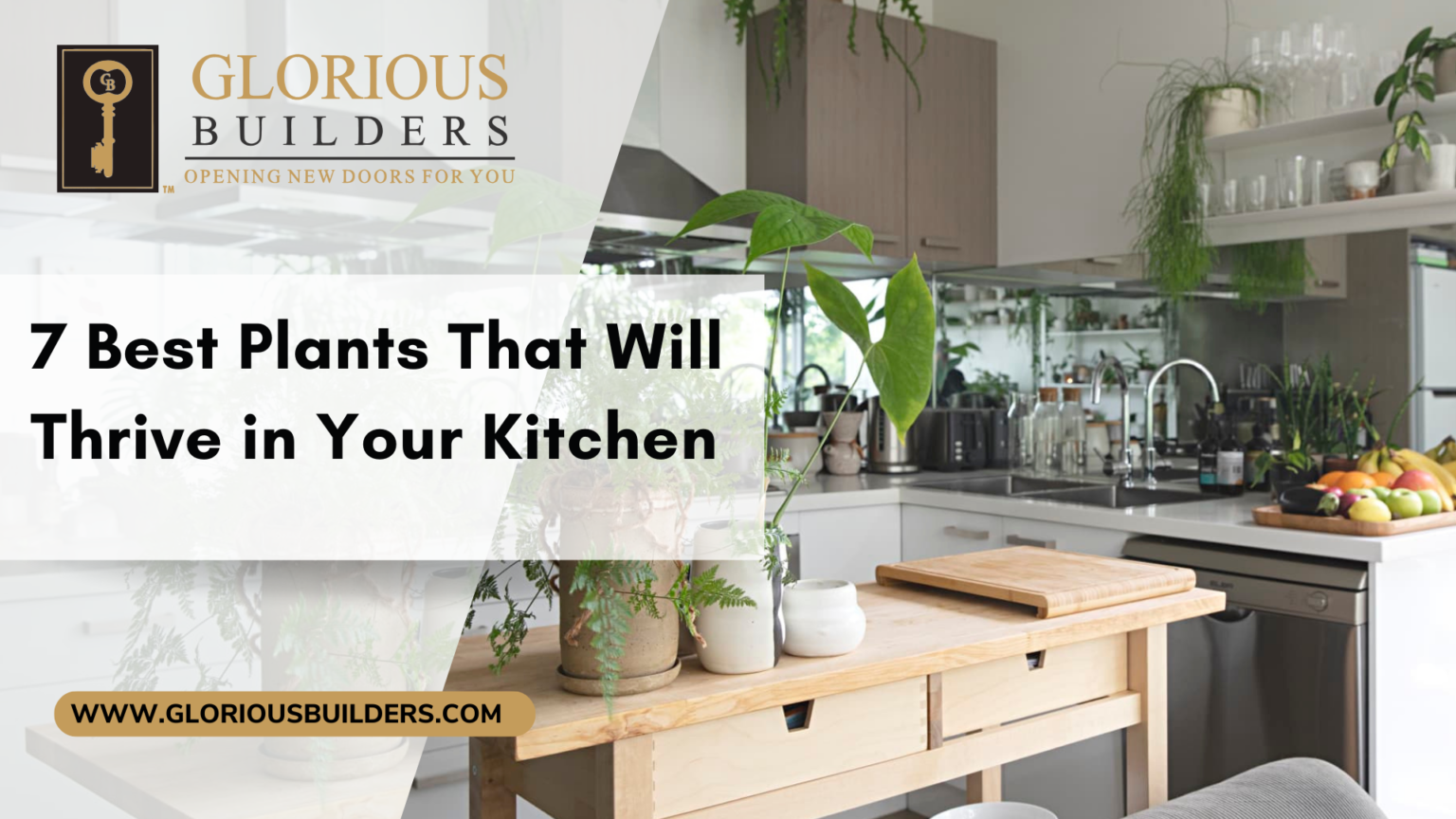 7 Best Plants That Will Thrive in Your Kitchen